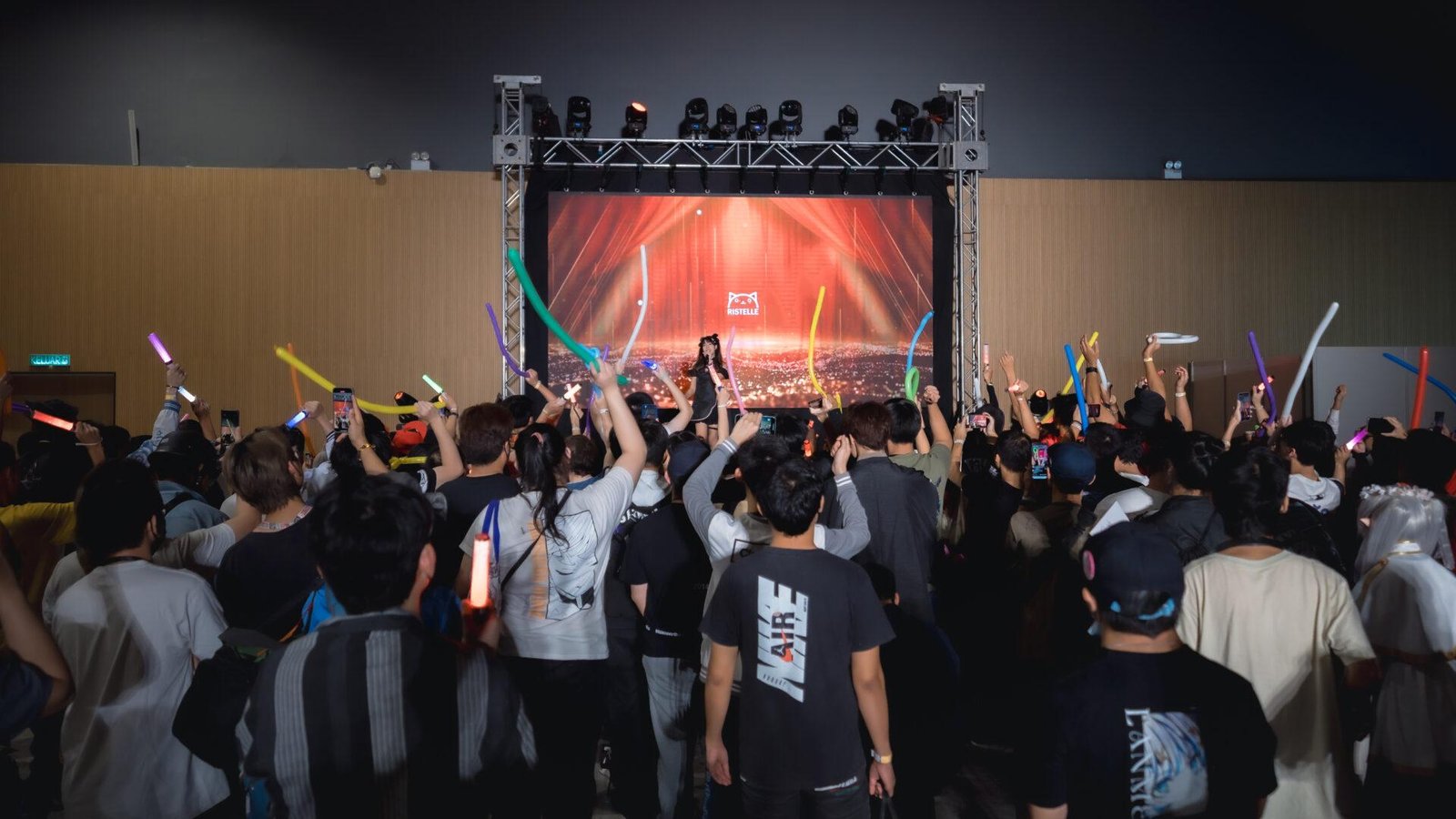 Anime Fest! Plus+ Returns with More Fun In 2024! - THE MAGIC RAIN